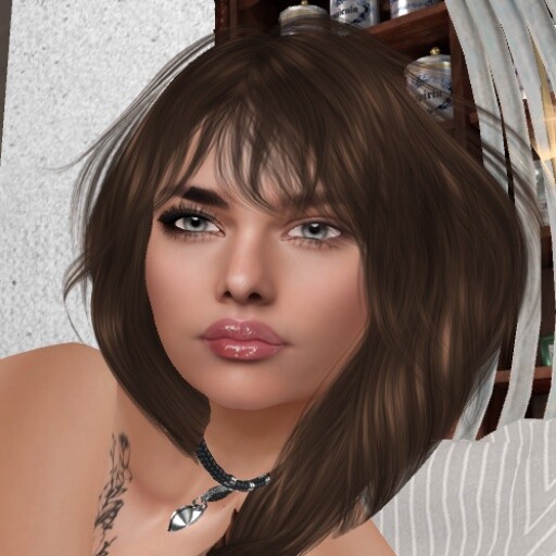 Ciara: - OpenSimWorld