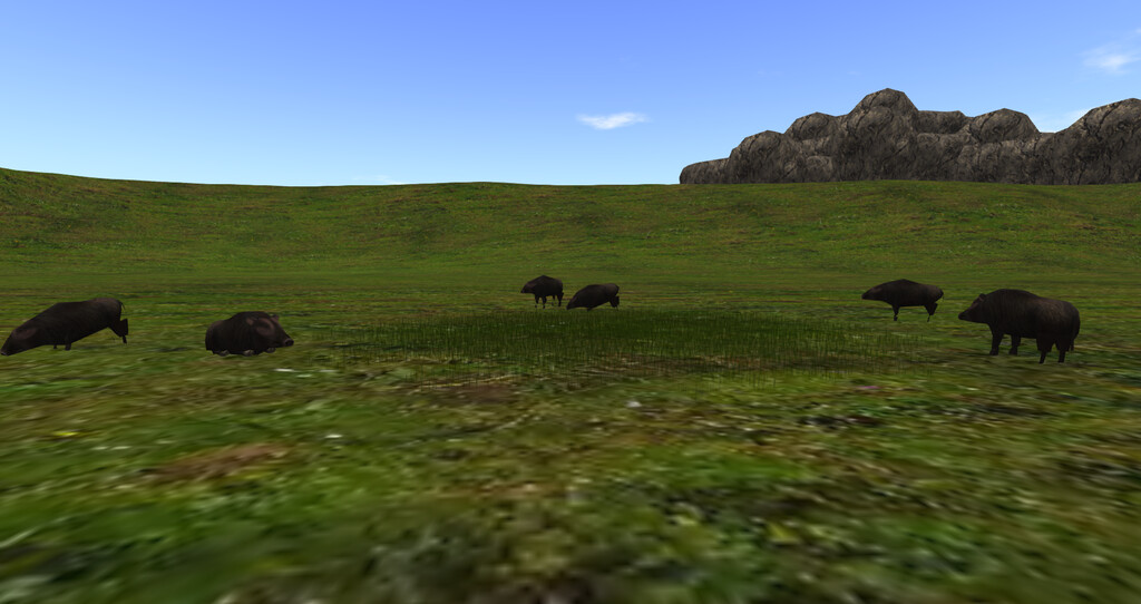 DieStadtAr: Jetzt findest du auch das Tarsk in den Wäldern. Tarsk geben ...